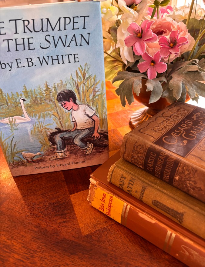 Best Books for Boys: A Guide to Classic Literature | Ancient & New